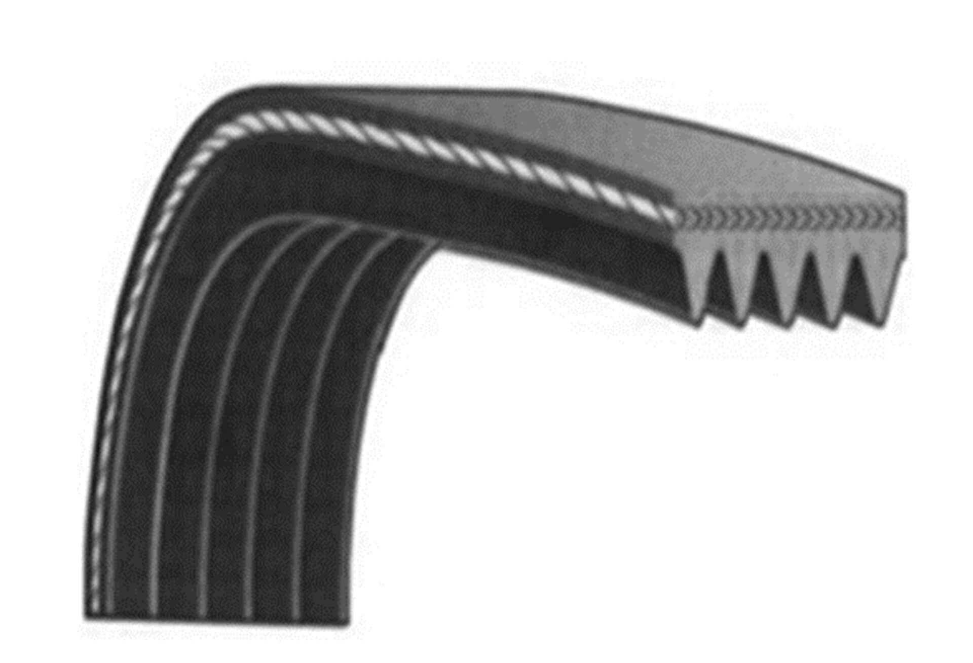 V-belts and Timing belts - Belting Supply Services